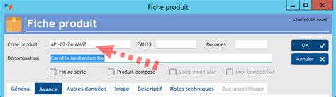 Codes De Nomenclature [le Wiki De Gestan]