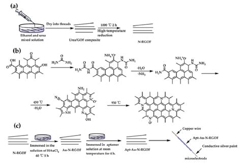 Preparation Of N Doped Reduced Graphene Fiber And Microelectrode A