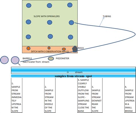 The Set Up Of The Forest Experiment Download Scientific Diagram