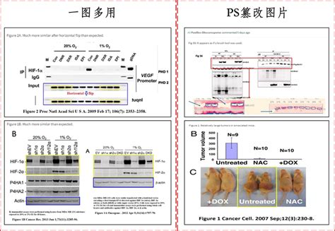诺奖得主52篇研究涉嫌数据造假仅PNAS上月就连撤4篇 生物探索