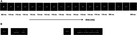 The Rapid Serial Visual Presentation Rsvp Paradigm Used In This