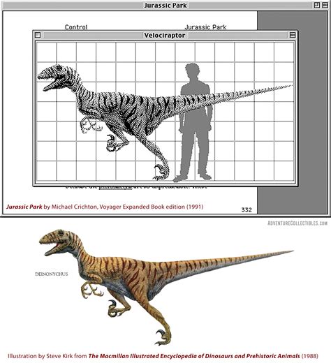 Deinonychus Size Comparison