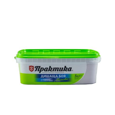 ДИШАЩА БОЯ ПРАКТИКА СРЕБРО 5КГ 055505 Rumik