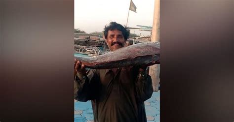 سندھ کیٹی بندر کے مچھیروں کا ایک ارب‘ کی مچھلیوں کا شکار