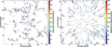 Visualization Of Simulated Clusters Generated By 2 9 Mev Electrons Download Scientific Diagram