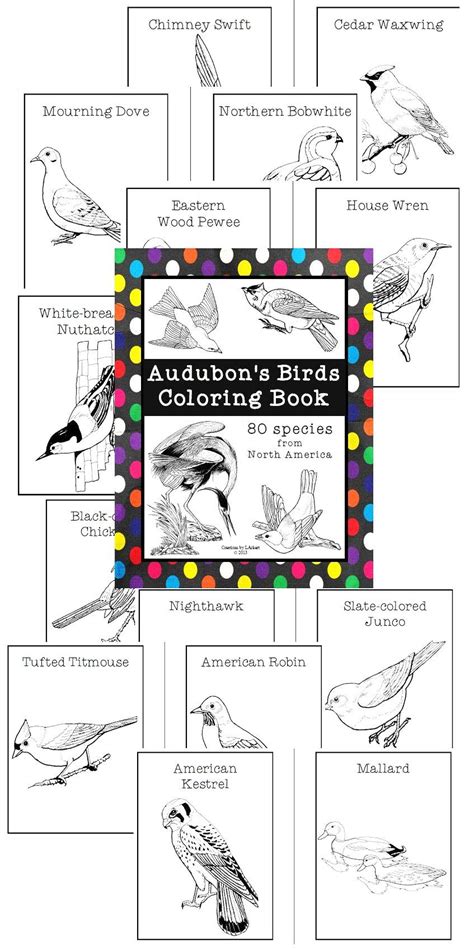 130 Science Trees Ideas Tree Study Kindergarten Science Autumn