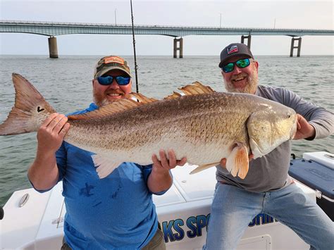 Giant Redfish Best Locations And Techniques
