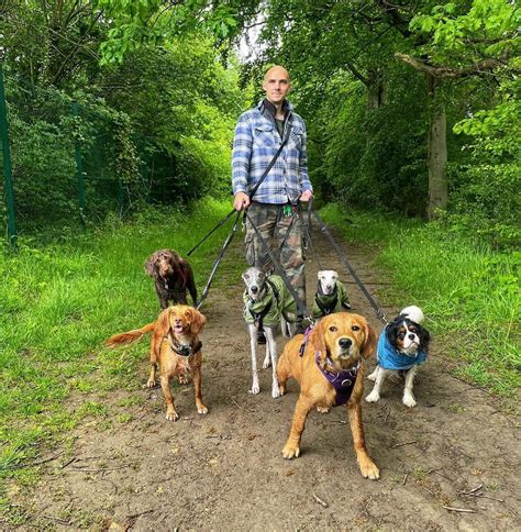 Who Needs A Dog Walker Jess Fox And Hound