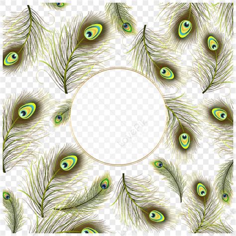 Brown Peacock Feather Borderframecolourbrown Feathers Png Image And