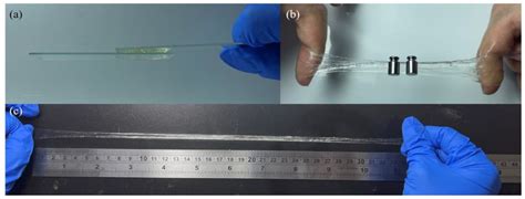Stretchable Adhesive And Biocompatible Hydrogel Based On Iron