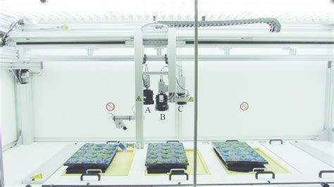 Automated High Throughput System For Small Plants The High Resolution
