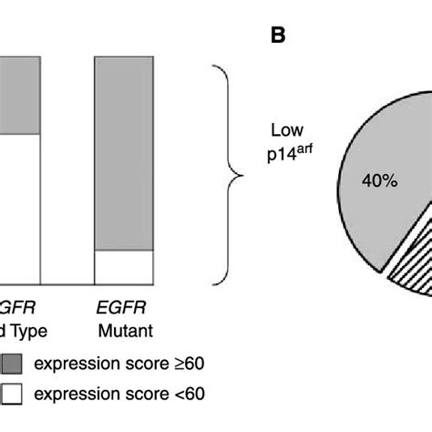 Concordance Tp53 Egfr Mutations And P14 Arf Expression In Never
