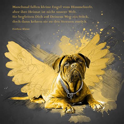 Trauergedicht Manchmal Anubis Tierbestattung Tiertrauer