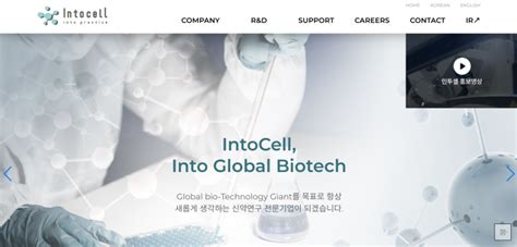 인투셀 공모주 주가 분석 및 전망 상장 이후와 미래 전망 네이버 블로그