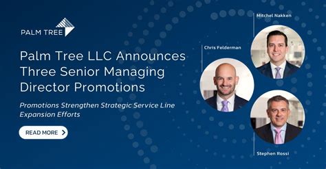 Palm Tree Llc Announces Three Senior Managing Director Promotions Palm Tree Palm Tree Llc