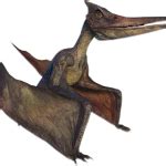 Pteranodon Scan Code DNA Scan Codes For The Jurassic World Play App