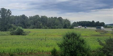 2021 Corn Seasonal Summary Field Crop News