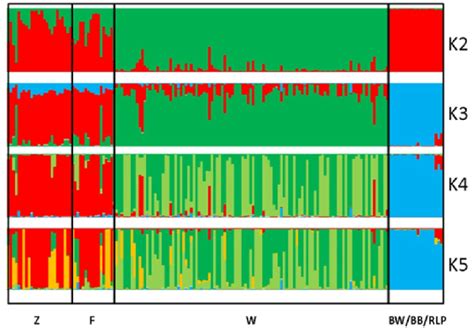 Stru Ctu Re Plots Where Each Bar Represents One Individual Most Likely