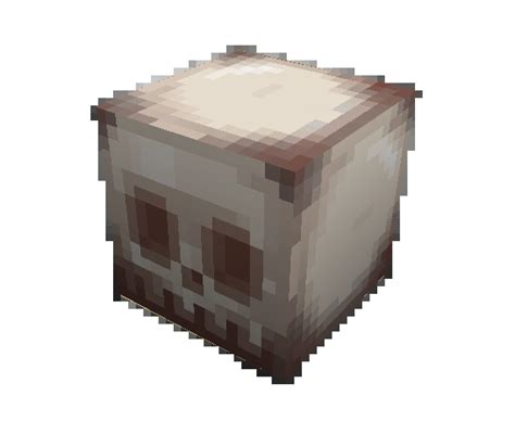 Skull Block Fossils And Archeology Mod Revival Wiki Fandom