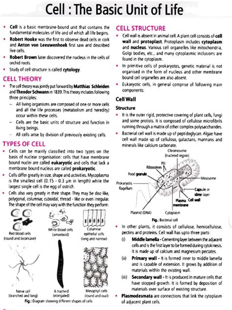 Cell Note Bdb Fiitjee Pdf Cell Biology Endoplasmic Reticulum