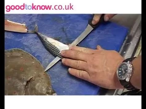 How To Fillet A Flat A Round Fish Fish