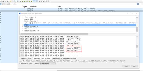 How To Wireshark Know The Url In The Quic Initial Packet Stack Overflow
