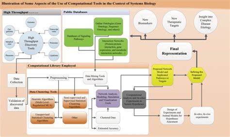 Computational Tools In The Context Of Systems Biology Process Of