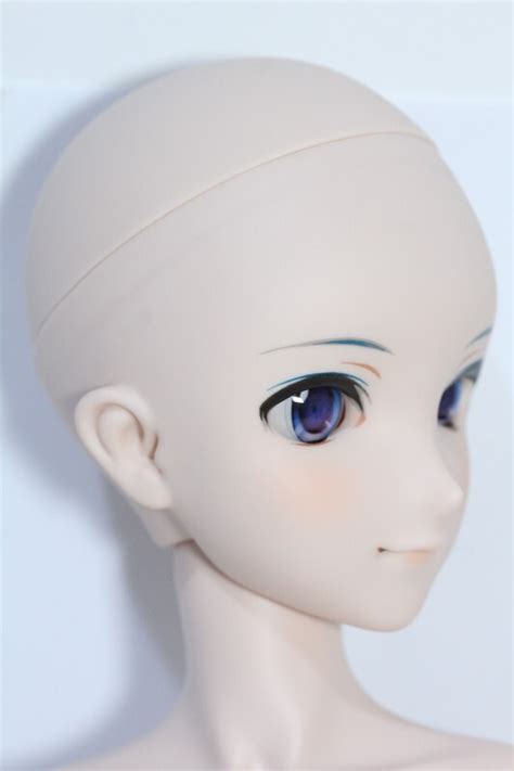 Dd Kaito Y 24 05 22 081 Yb Zy ドーリーテリア
