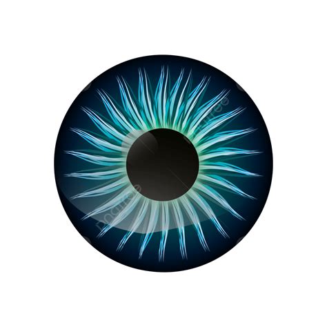 Vektor Mata Biru Sederhana Mata Mata Mata Kartun Png Dan Vektor Dengan Background Transparan