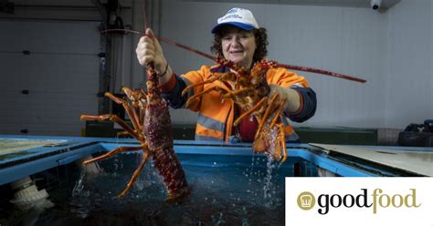 How to handle live lobster humanely this Christmas