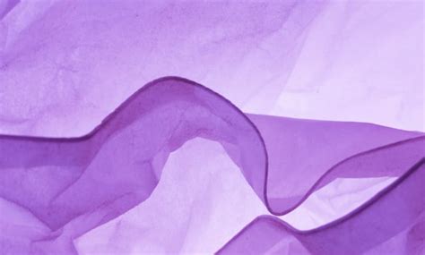 늑대의 유혹 4 묭