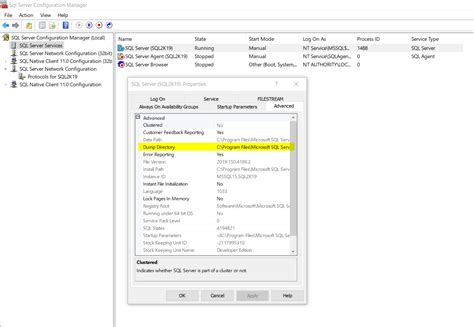 Sql Server Is Terminating Because Of Fatal Exception 80000003 How To