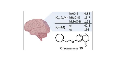 The Chemotype Of Chromanones As A Privileged Scaffold For Multineurotarget Anti Alzheimer Agents