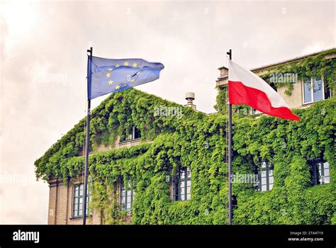 Building With Climber Plants Ivy Growing On The Wall Ecology And