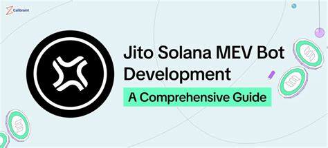Jito Solana Mev Bot Development A Comprehensive Guide