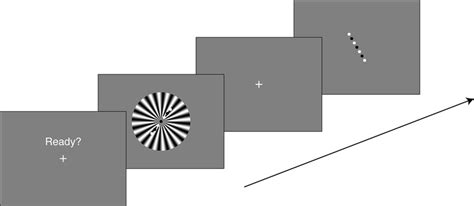 Stimulus Patterns Used In Experiments 1 And 2 And The Time Course Of Download Scientific