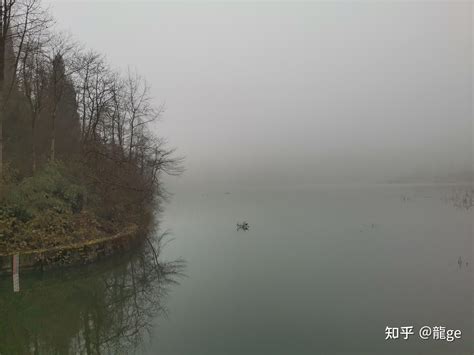 记途观L龙池国家森林公园跑山记 知乎