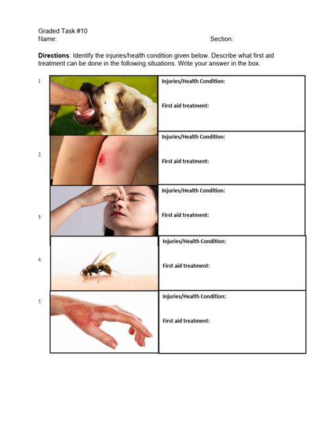 Graded Task 10 Template 3 Pdf Wellness Science And Mathematics