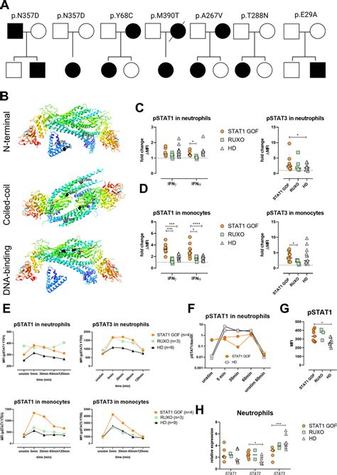 Patients And Stat1 Mutations A Pedigrees Of Stat1 Gof Mutations In Download Scientific Diagram