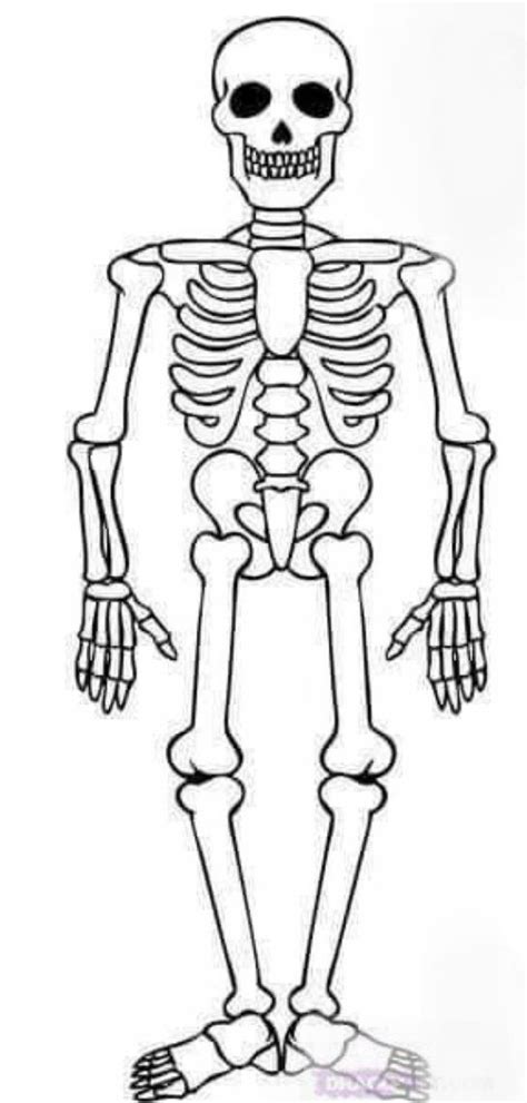 Pin De Shelley Holmes En Card Dibujo Del Esqueleto Humano Esqueleto