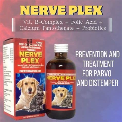 Fc Reyes Agrivet Nerve Plex Vitamin And Supplement With Syringe For