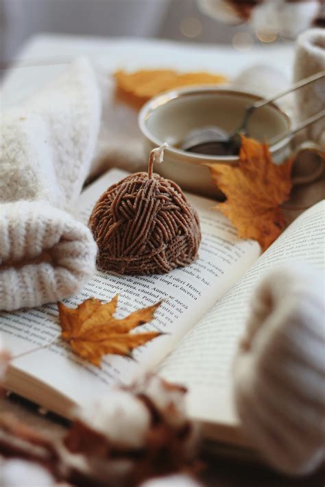 실내 가을 가을의 느낌 가을의 미학 가을의 분위기 계절 과일 독서하는 따뜻한 떨어지다 러스틱 머그