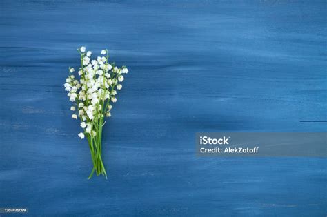 섬세한 향기와 멋진 향기로운 흰색 꽃 회색 나무 또는 금속 테이블에 계곡 꽃의 백합 5월에 대한 스톡 사진 및 기타 이미지 5월 강철 개념 Istock