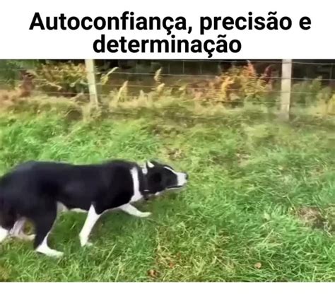 Michelly Freitas On Linkedin Em Meio Aos Obstáculos Mantenha O Foco E Acredite Mesmo Não Vendo A…