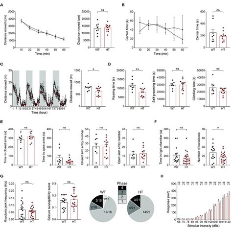 Scn2a − Mice Display Suppressed Ltp But Normal Ltd A Normal