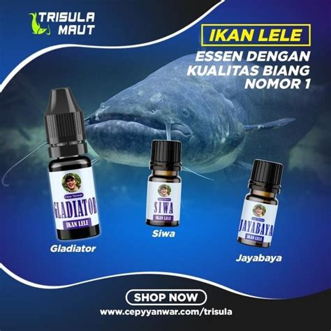 Jual Essen Ikan Trisula Maut Asli Biang Esen Racikan Cepy Yanwar