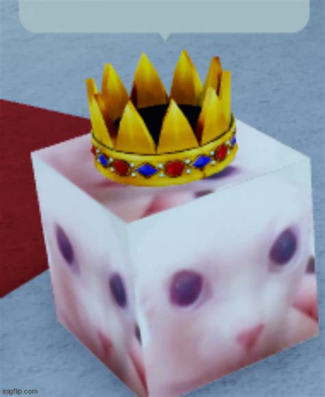 What The Bingus Cube Sayin Imgflip