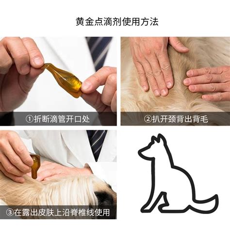 黄金点猫咪宠物皮肤病滴剂猫癣皮屑掉毛猫耳螨法国德美丝狗狗滴剂 虎窝淘