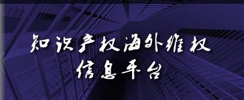 知识产权海外维权