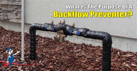 What Is The Purpose Of A Backflow Preventer Art Plumbing Air